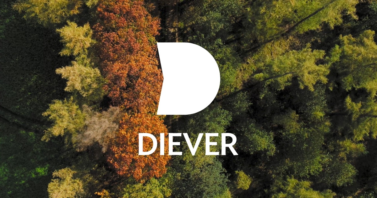 Diever, Village of Shakespeare